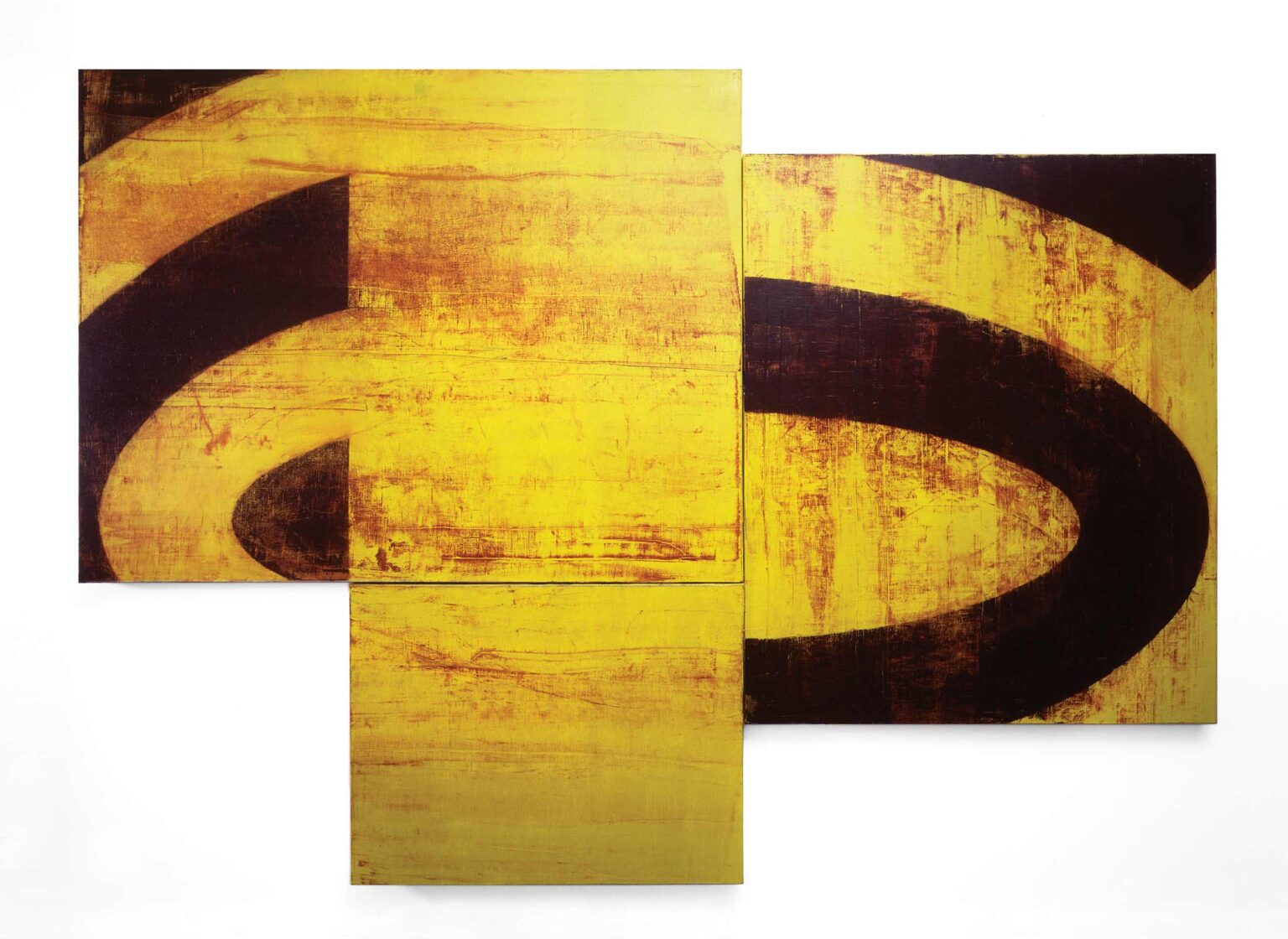 David Row | Visual Artist